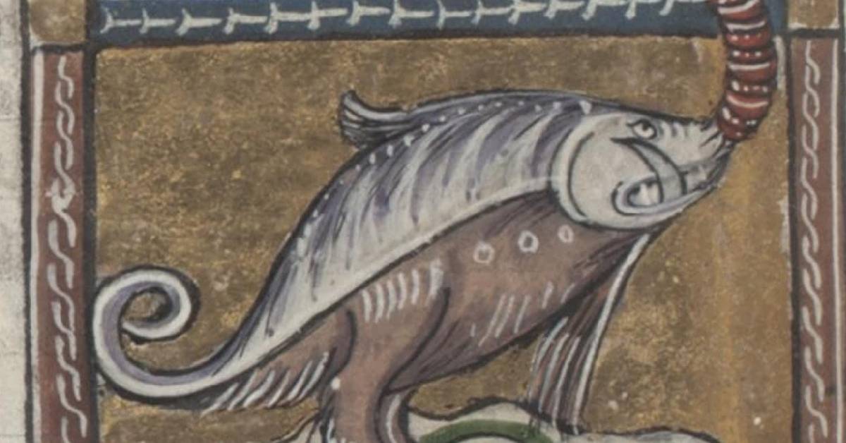 This Is How Medieval Artists Imagined Animals They Had Never Seen