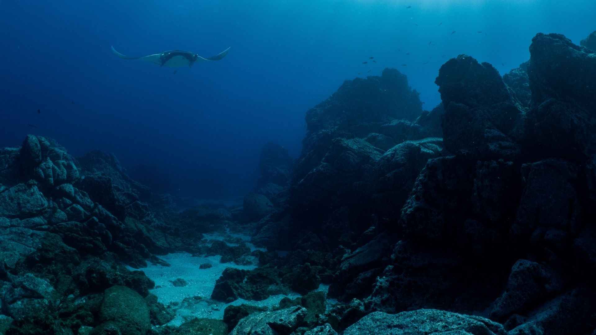 Scientists just found mountains of sugar hidden beneath the ocean