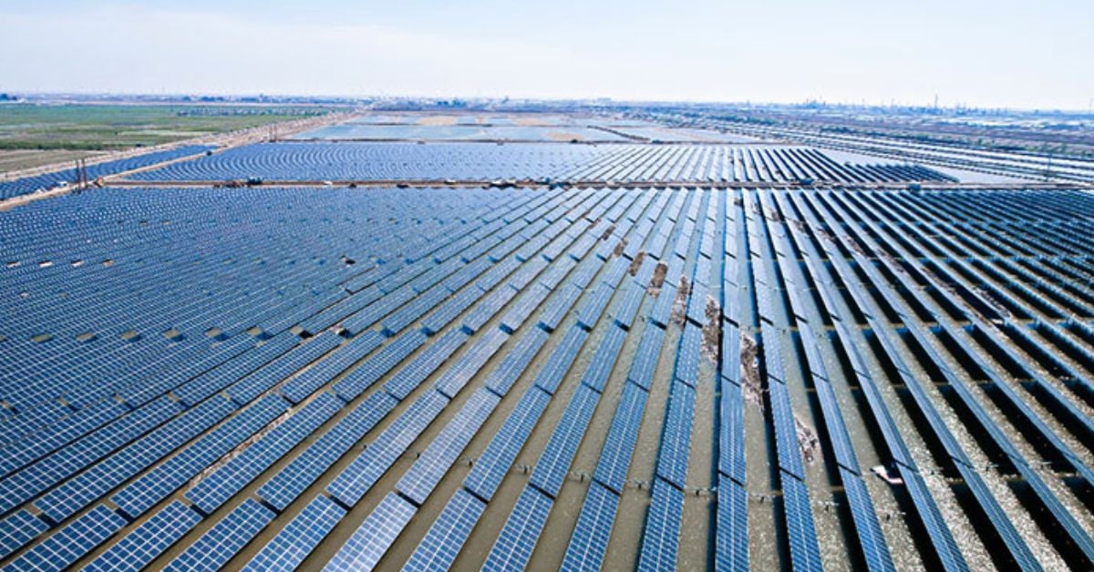 A fishery in China just deployed a giant 70MW solar plant