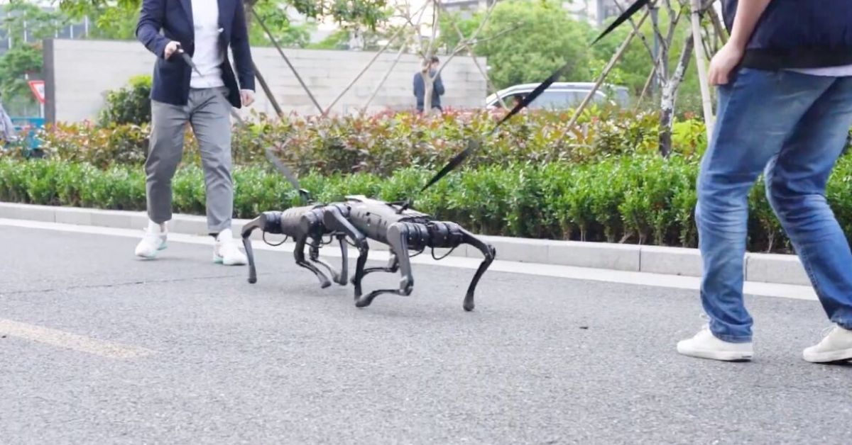 These Two Robot Dogs Keep Fighting Like Real Dogs