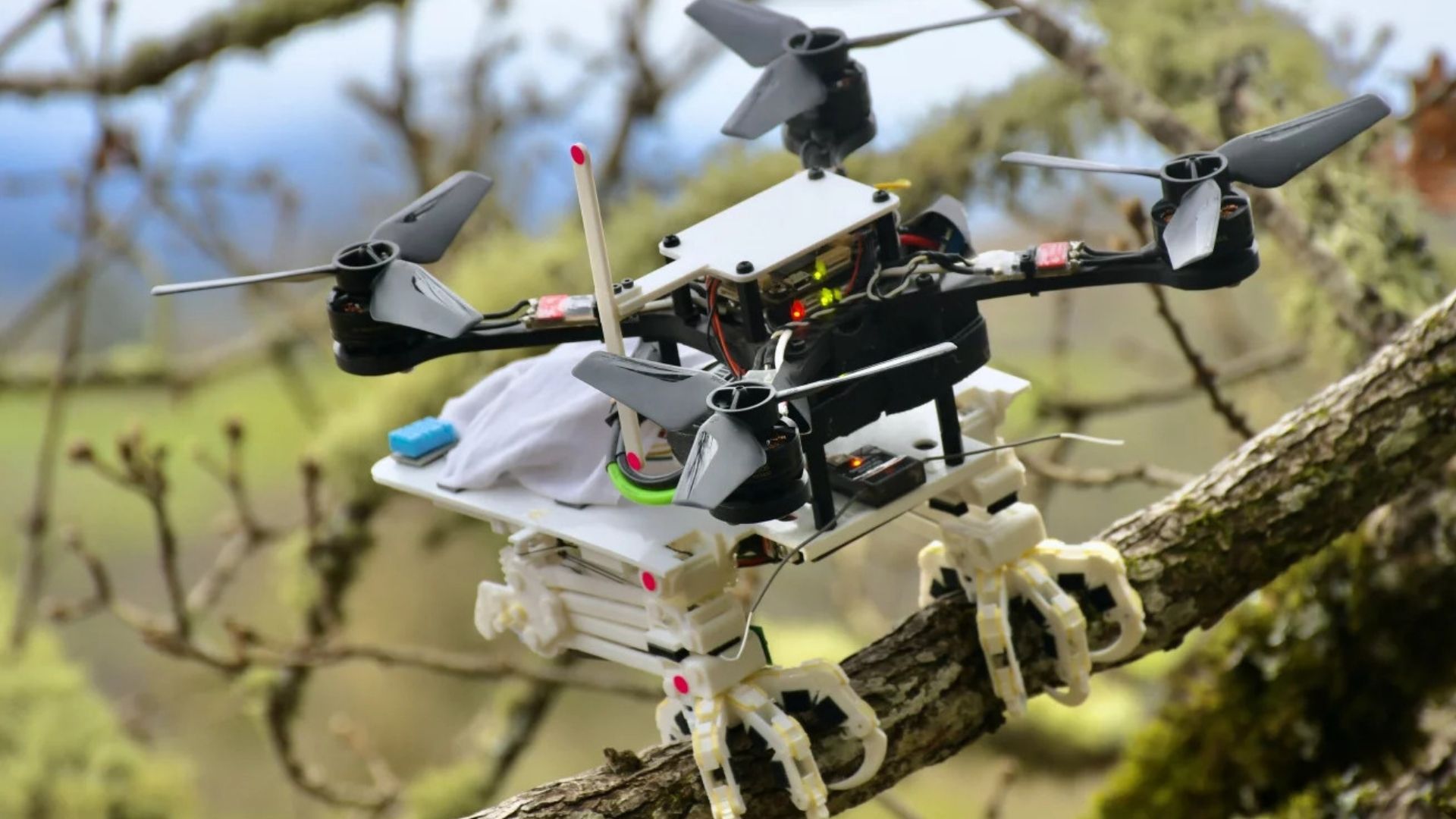 An Advanced New Perching Drone Can Actually Snatch Objects From the Air