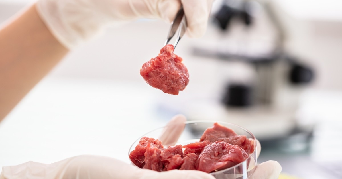 Researchers Find Way to Make Lab Grown Meat More Appealing