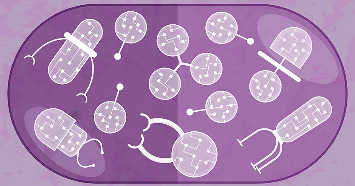 Researcher Receives £1.25 Million to Create New 'Living' Micro-Machines