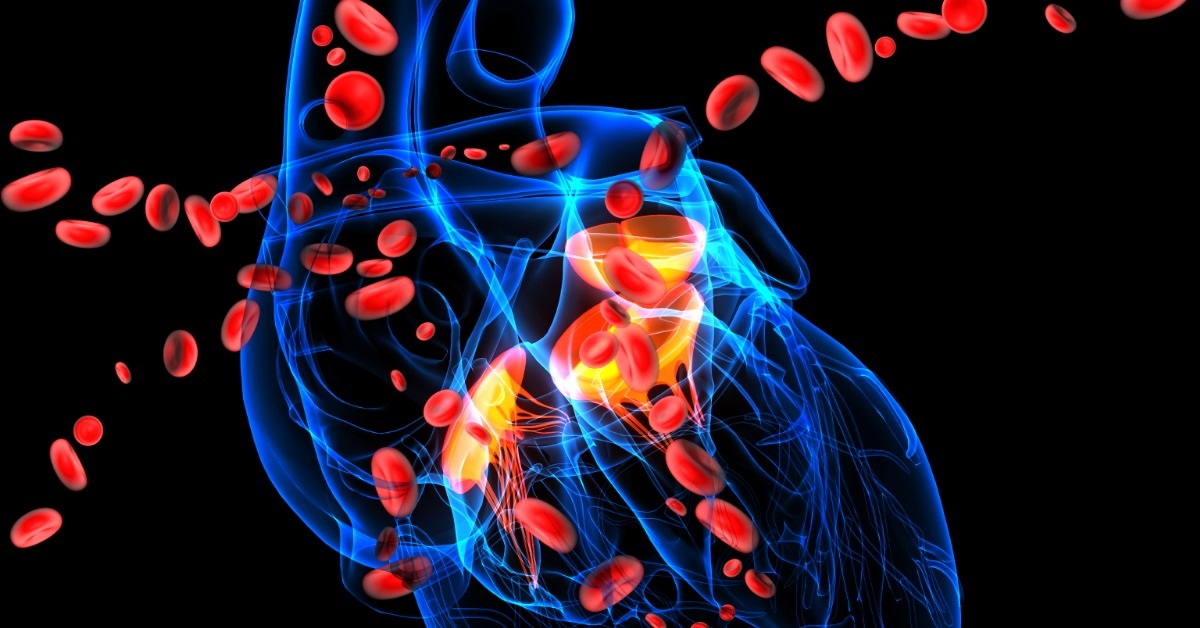A Company Creates the First 3D Printed Mini Heart