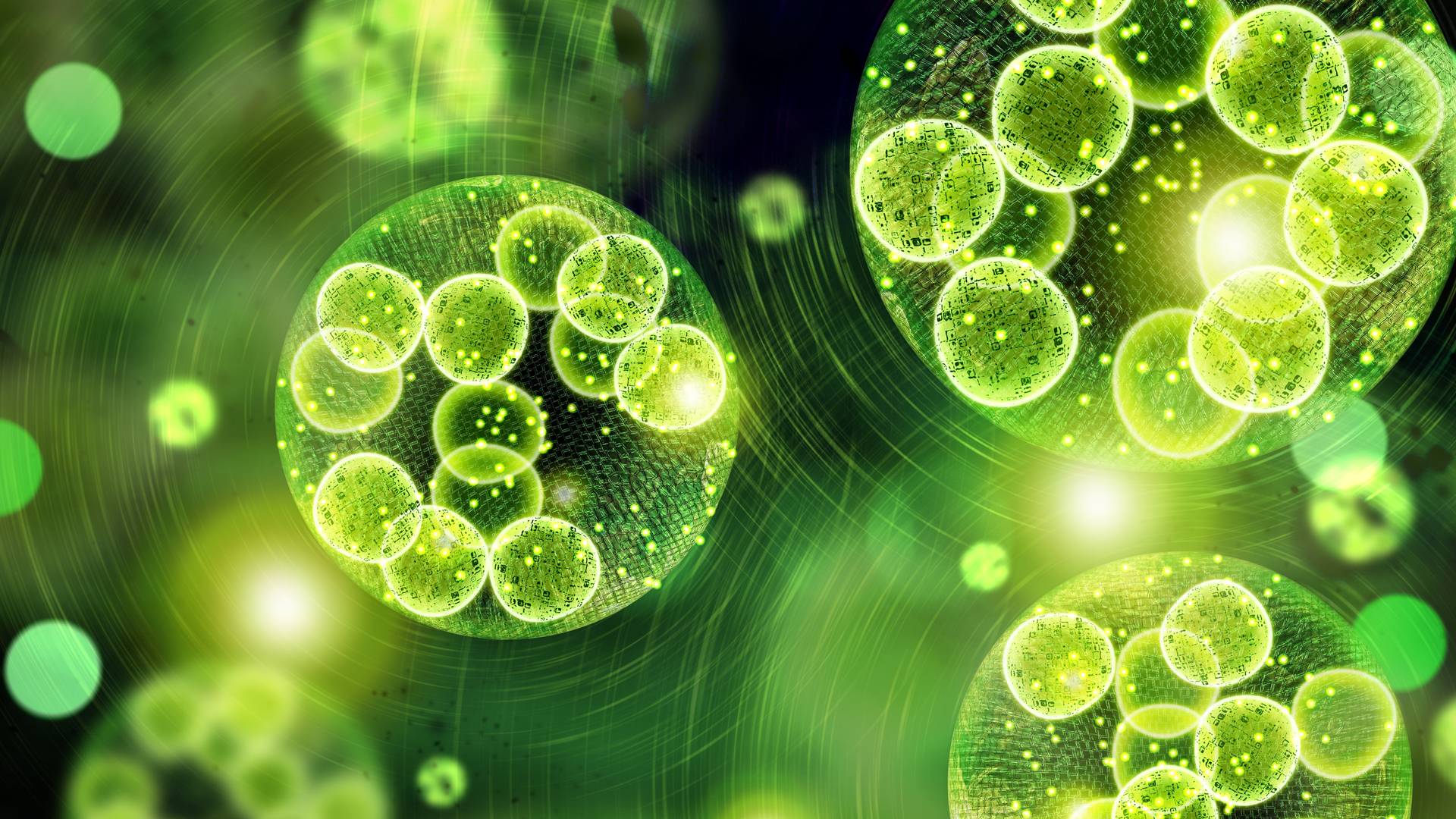 Artificial Photosynthesis Device Becomes More Efficient With Each Use