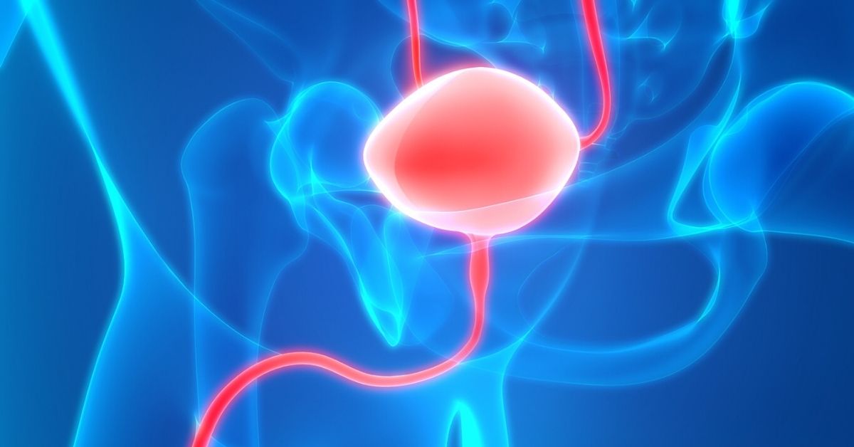 'Smart Wrap' Bladder Implant Could Treat Debilitating Conditions