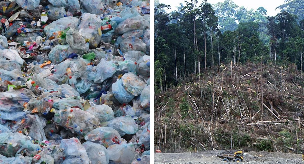 Here Are 7 Things That You Can Do to Reduce Climate Change