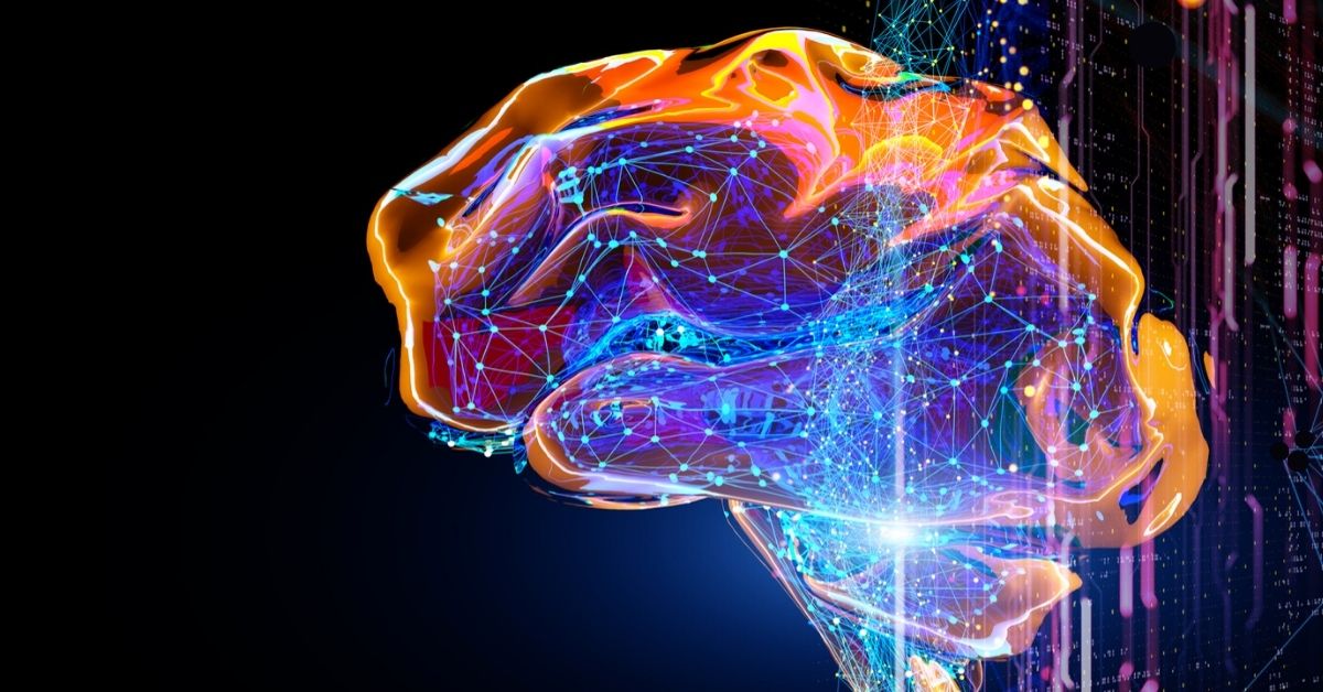 New Study Finds Eerie Similarity Between Brain, Computer Vision