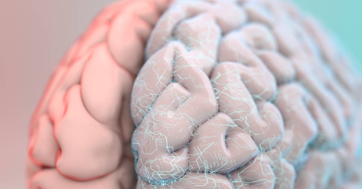 Brain Perceives Computer Coding and Language Reading Differently, MIT ...