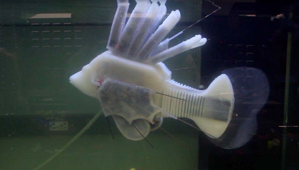 Robotic Fish Is Powered by 'Robot-Blood' and Has No Battery