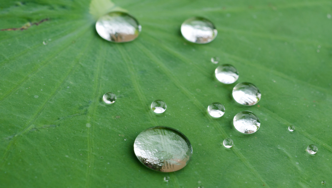 Nano-Coatings for Home and Industrial Use