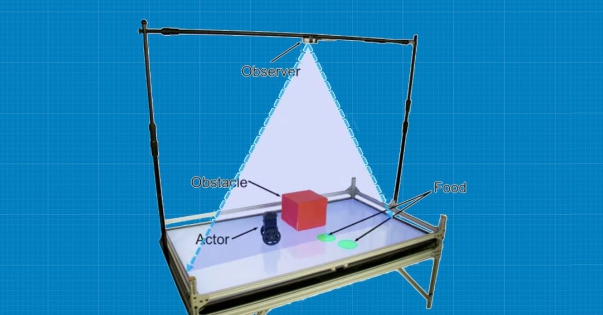 Robot Teaches Itself Empathy, Shocks Engineers