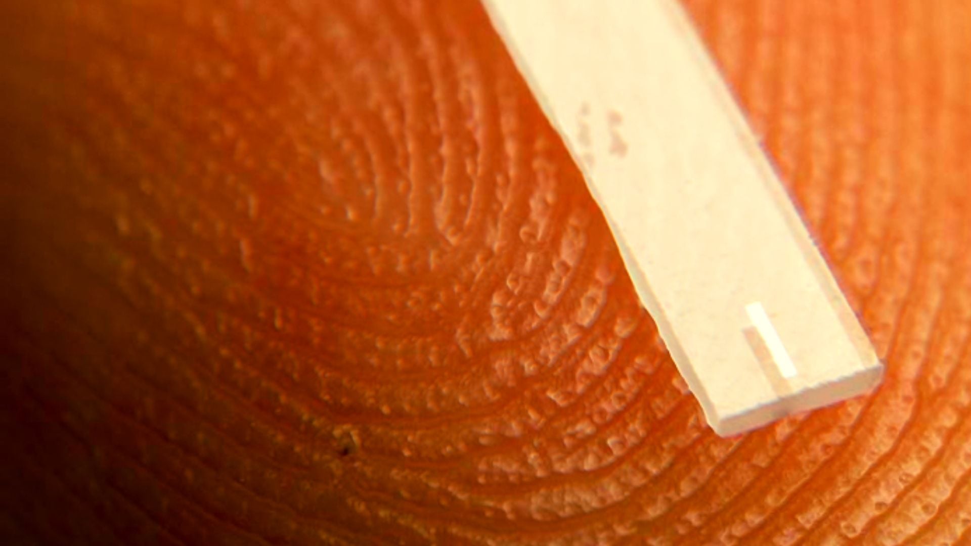 Physicists Developed a Technique to Finally Detect Dark Matter