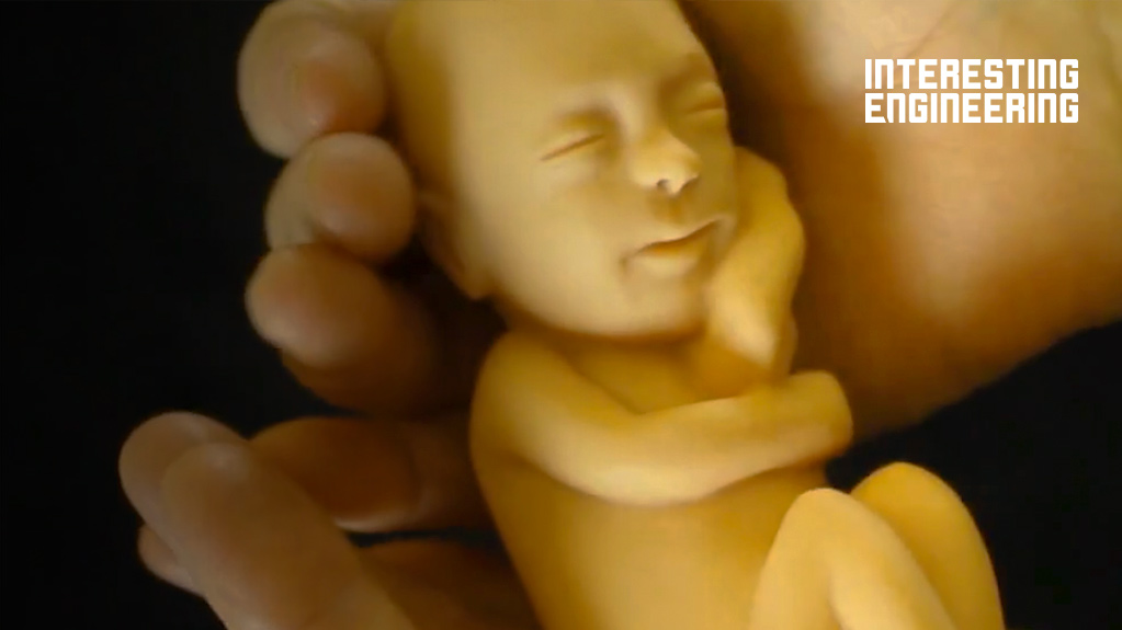 The Miracle and Science of Life from Conception to Birth