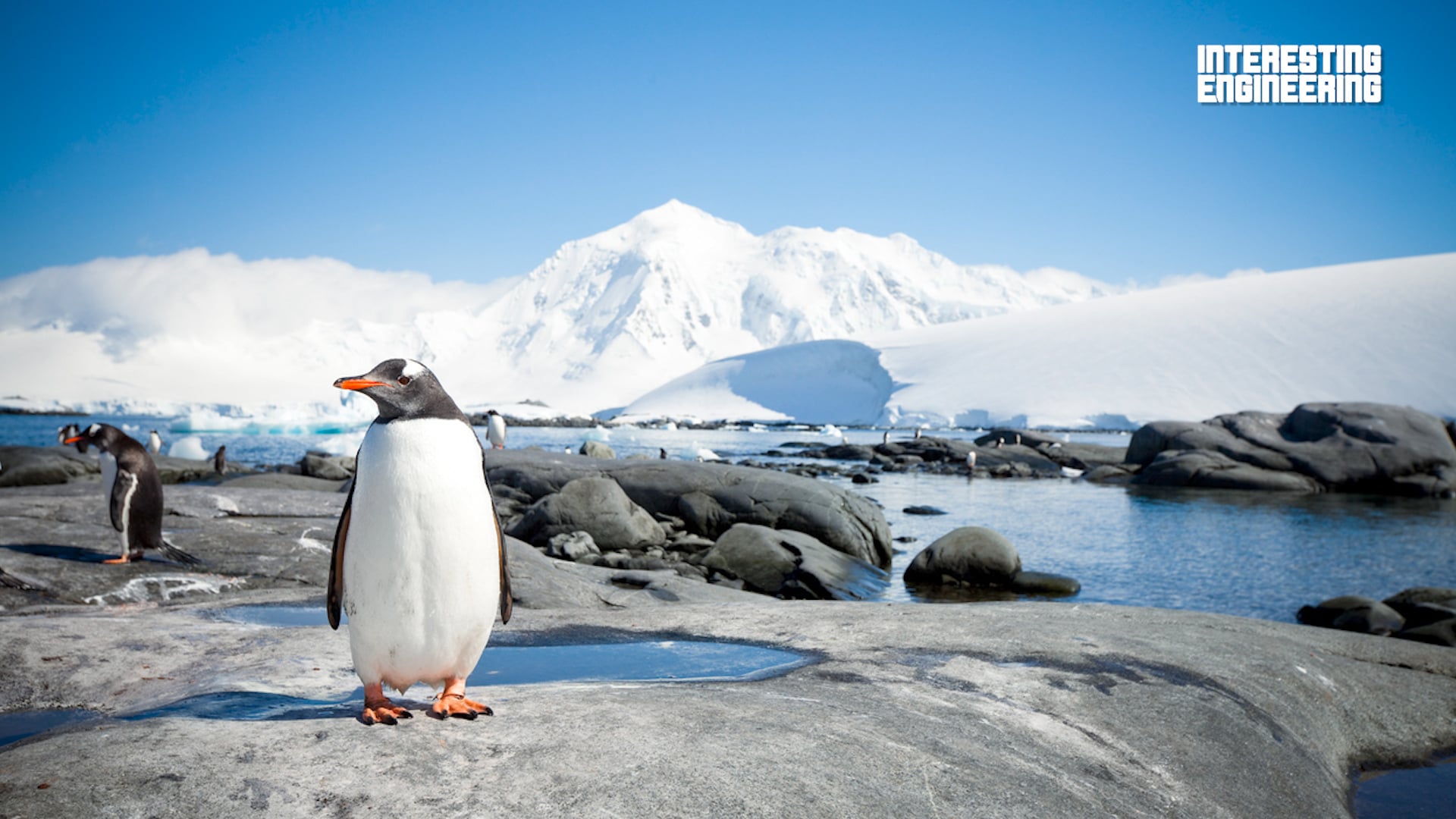 The Many Secrets of the Mysterious Antarctica