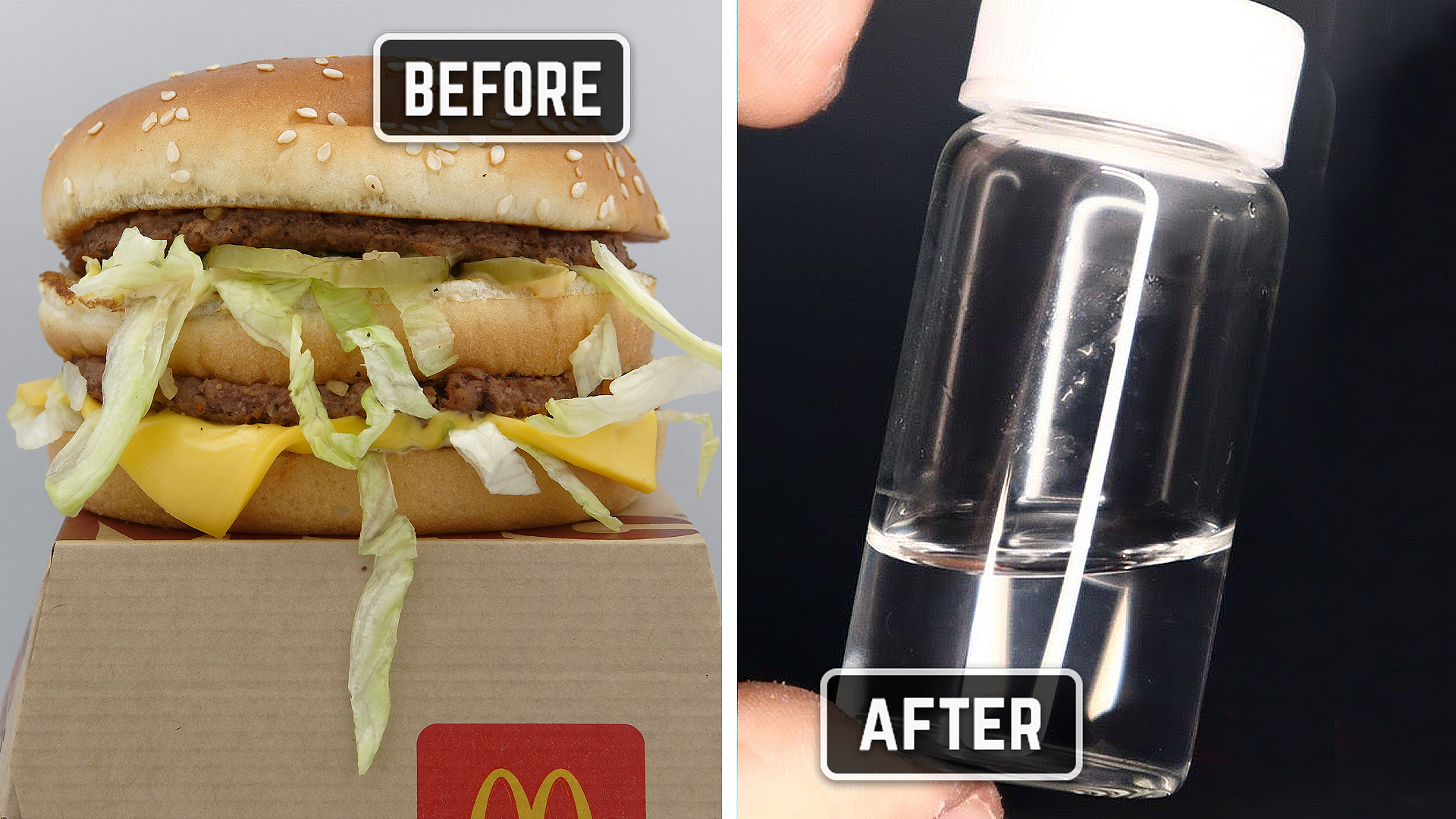 Mad Scientist Purifies a Big Mac from McDonald's