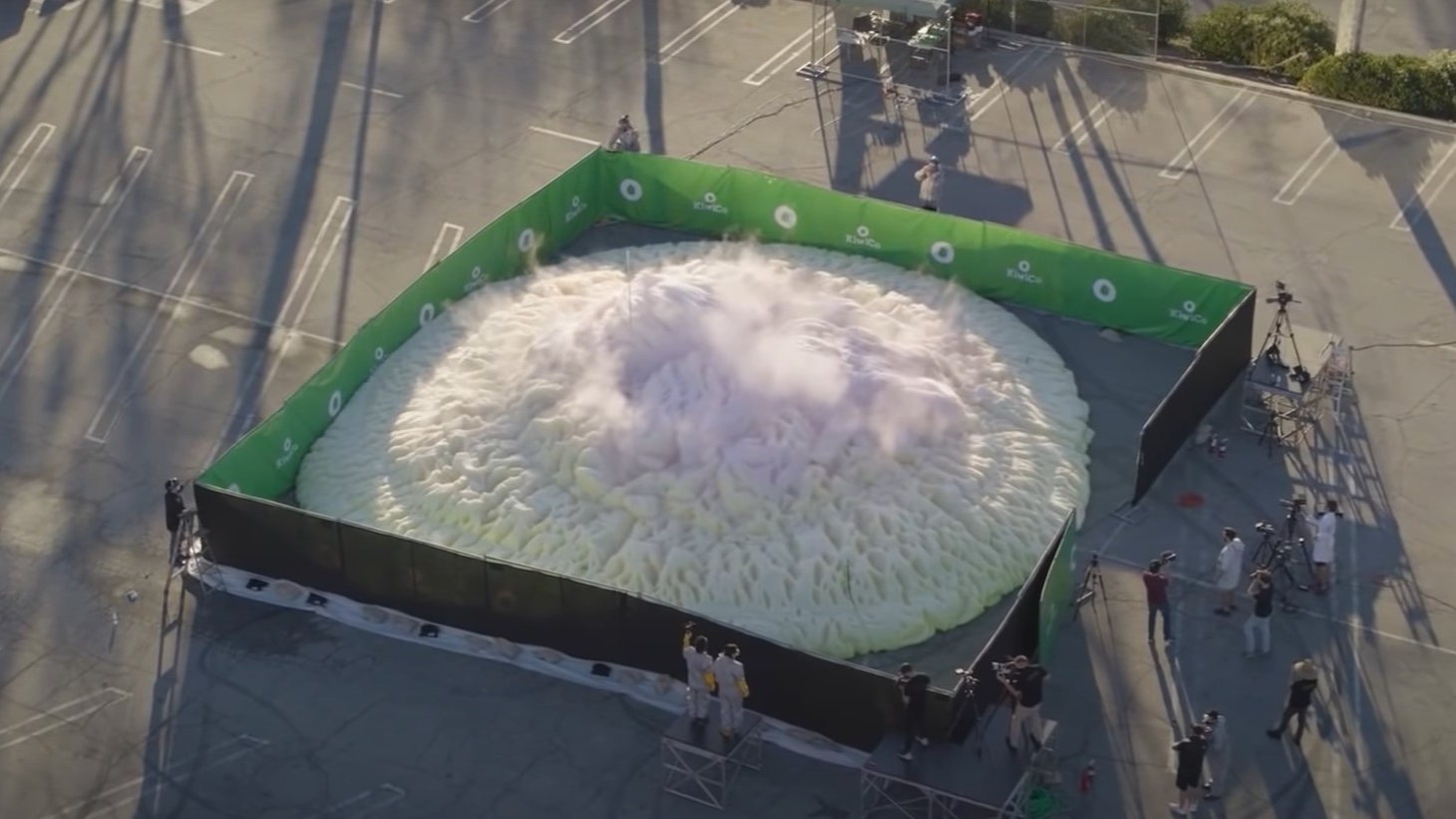 The world's largest elephant toothpaste experiment made it to the ...