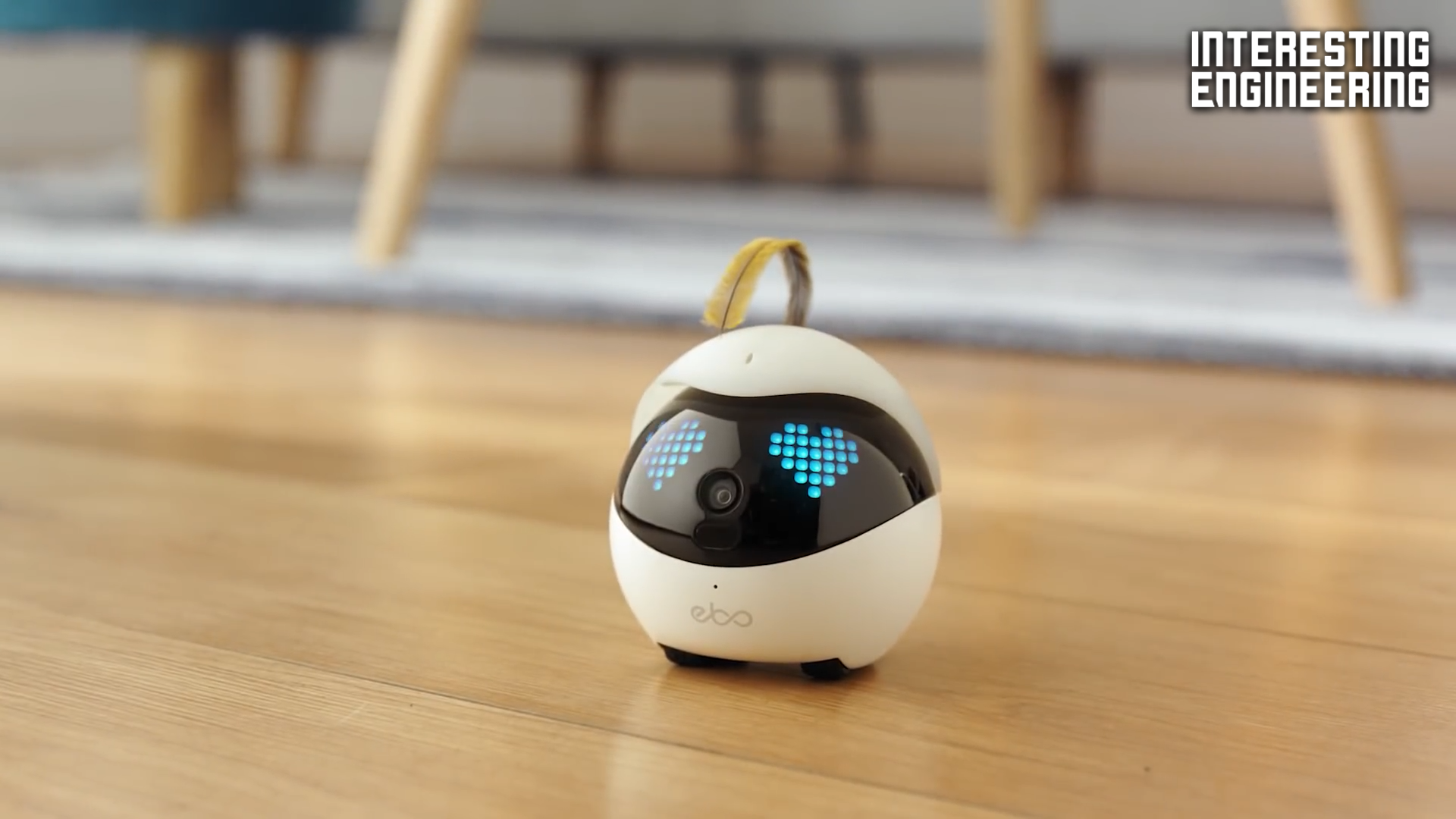 Smart Gadgets That'll Make Your Pet's Life Easier