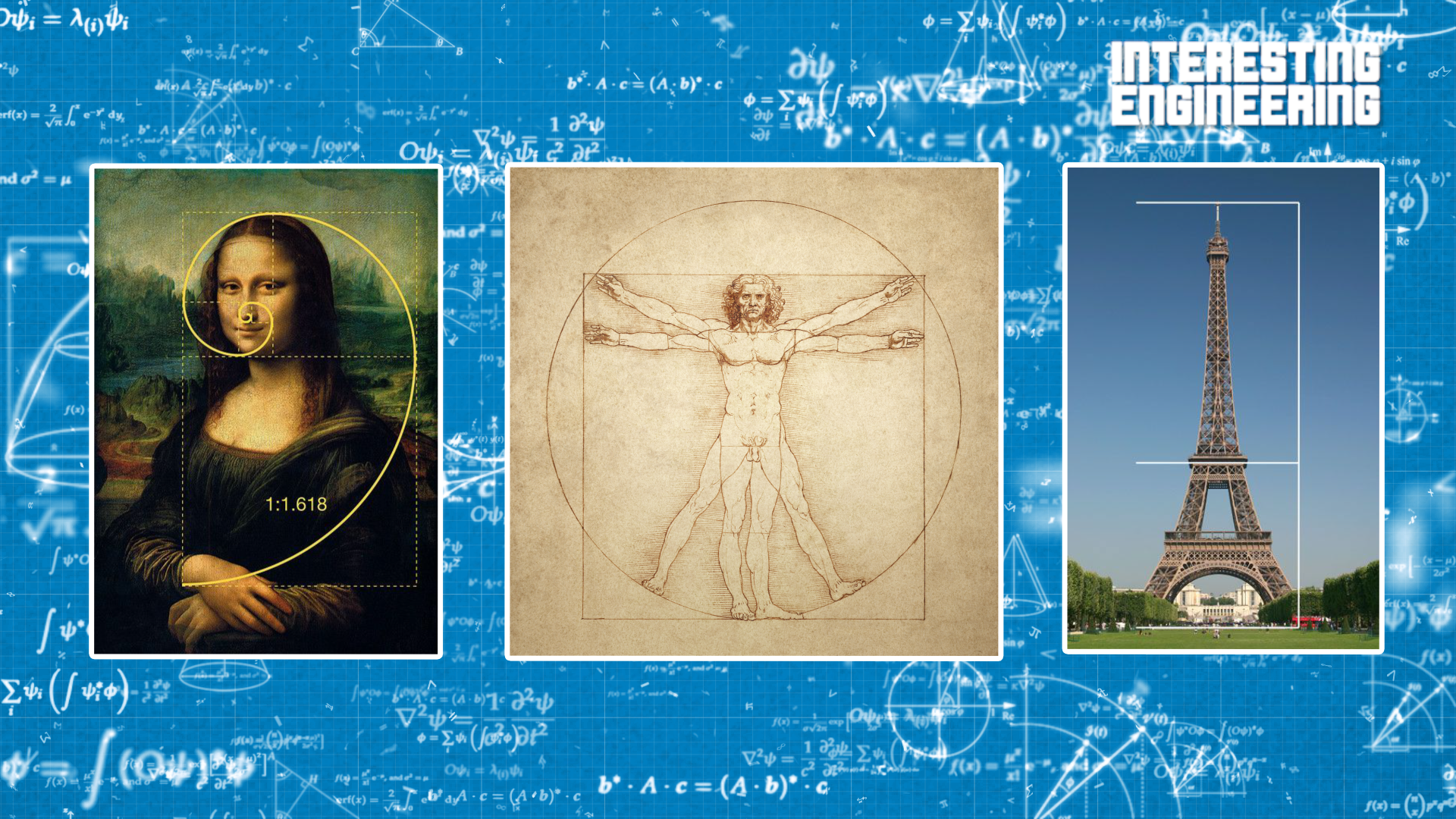 Everything You Have Ever Wanted to Know About the Golden Ratio