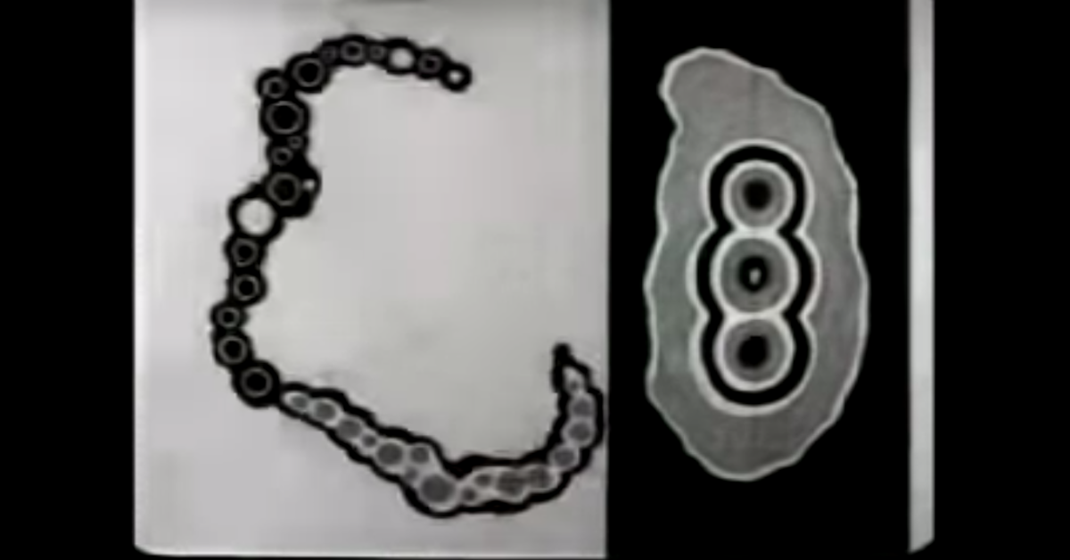 Watch This Beautiful 1929 Avant-Garde Artistic Vision of How Life ...