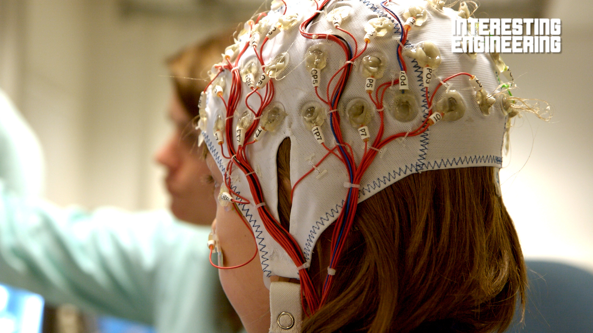 The Probability of Humans Having Immortal Life