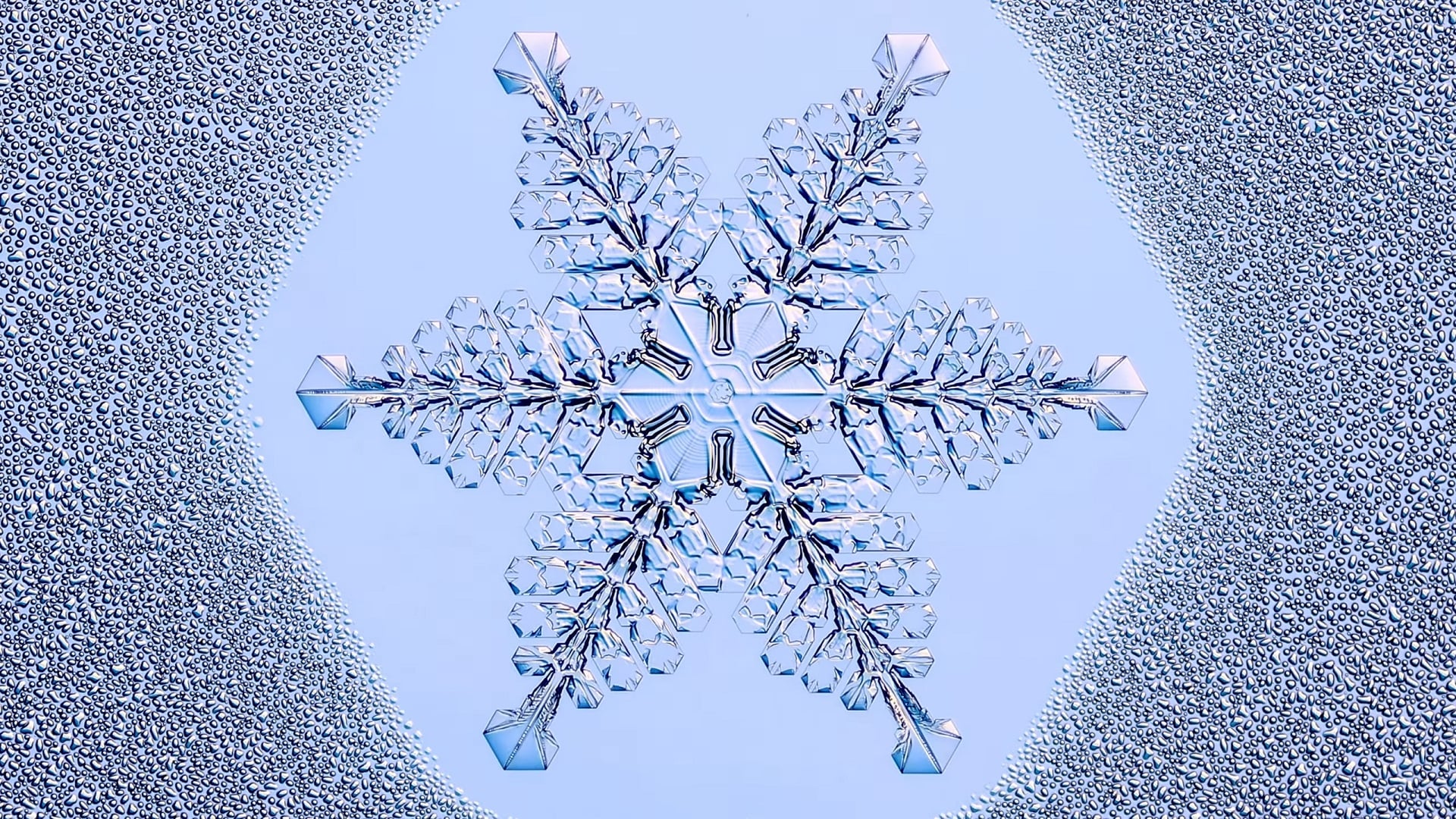 Meet the Man Who Can 'Design' Snowflakes on Demand