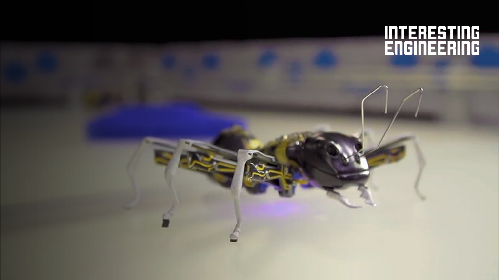 Animal and Insect Robots That Behave Like the Real Things