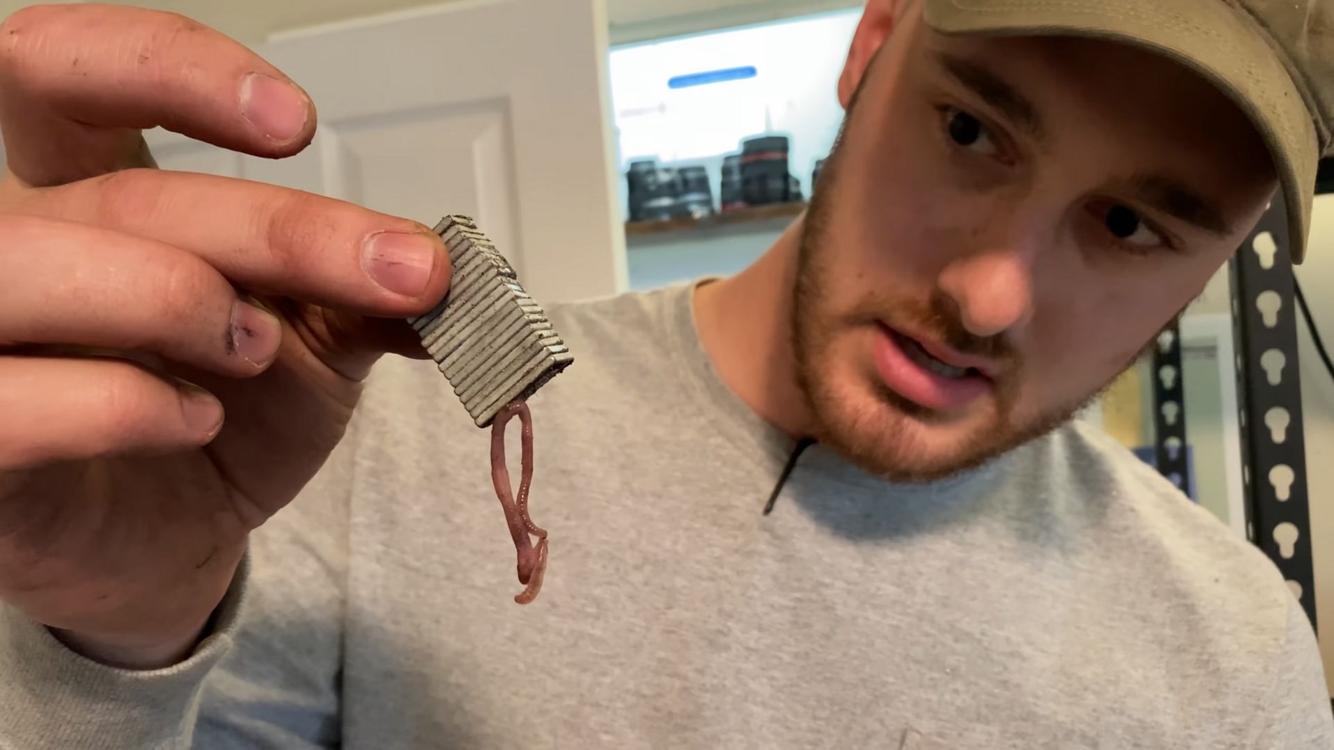 The Mystery and Magic of Magnetic Worms