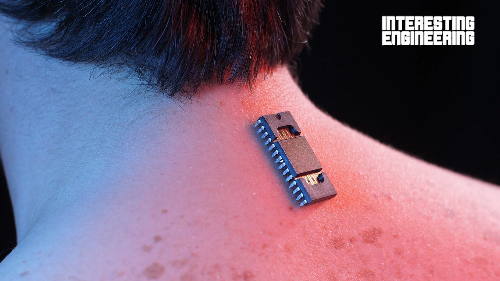 The Exciting Yet Scary Future of Radio-Frequency Identification Technology