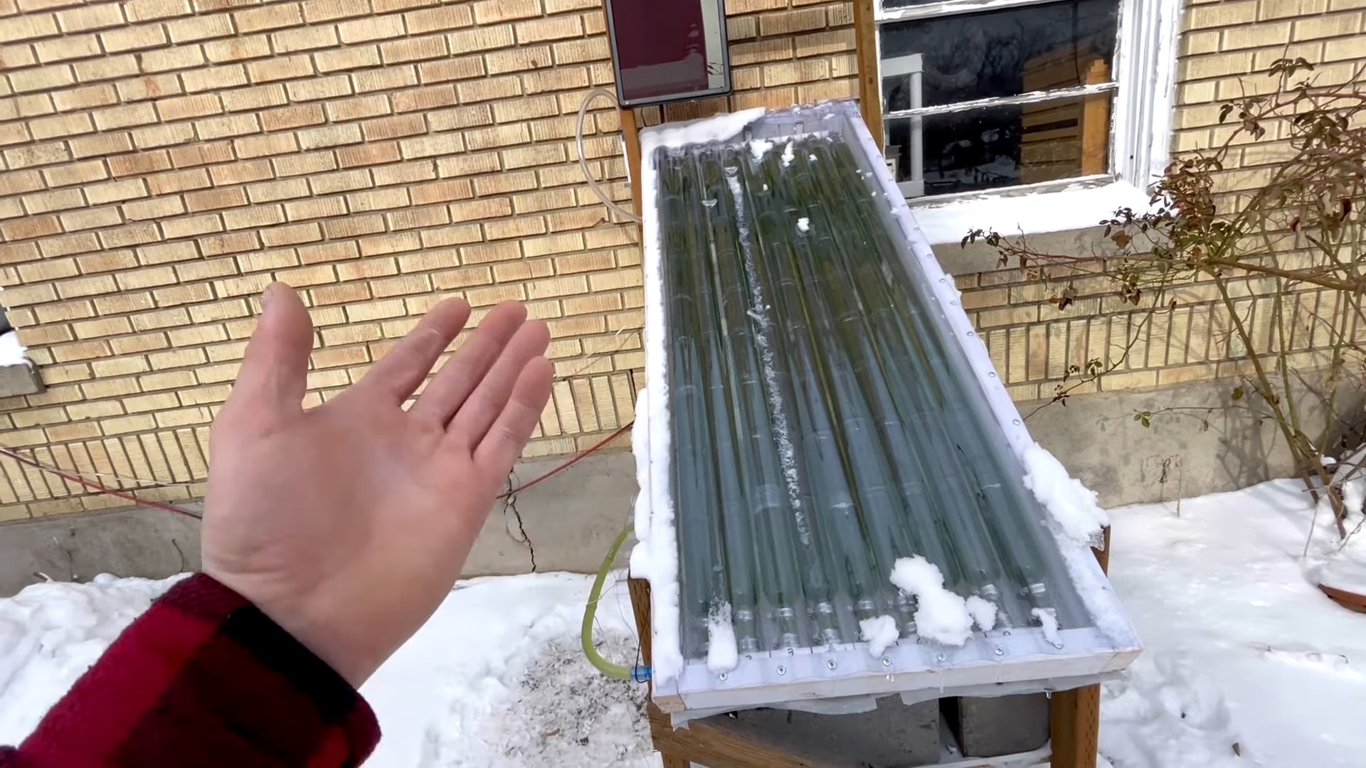 Mechanic Sets Up an Algae Panel Contraption to Make Food